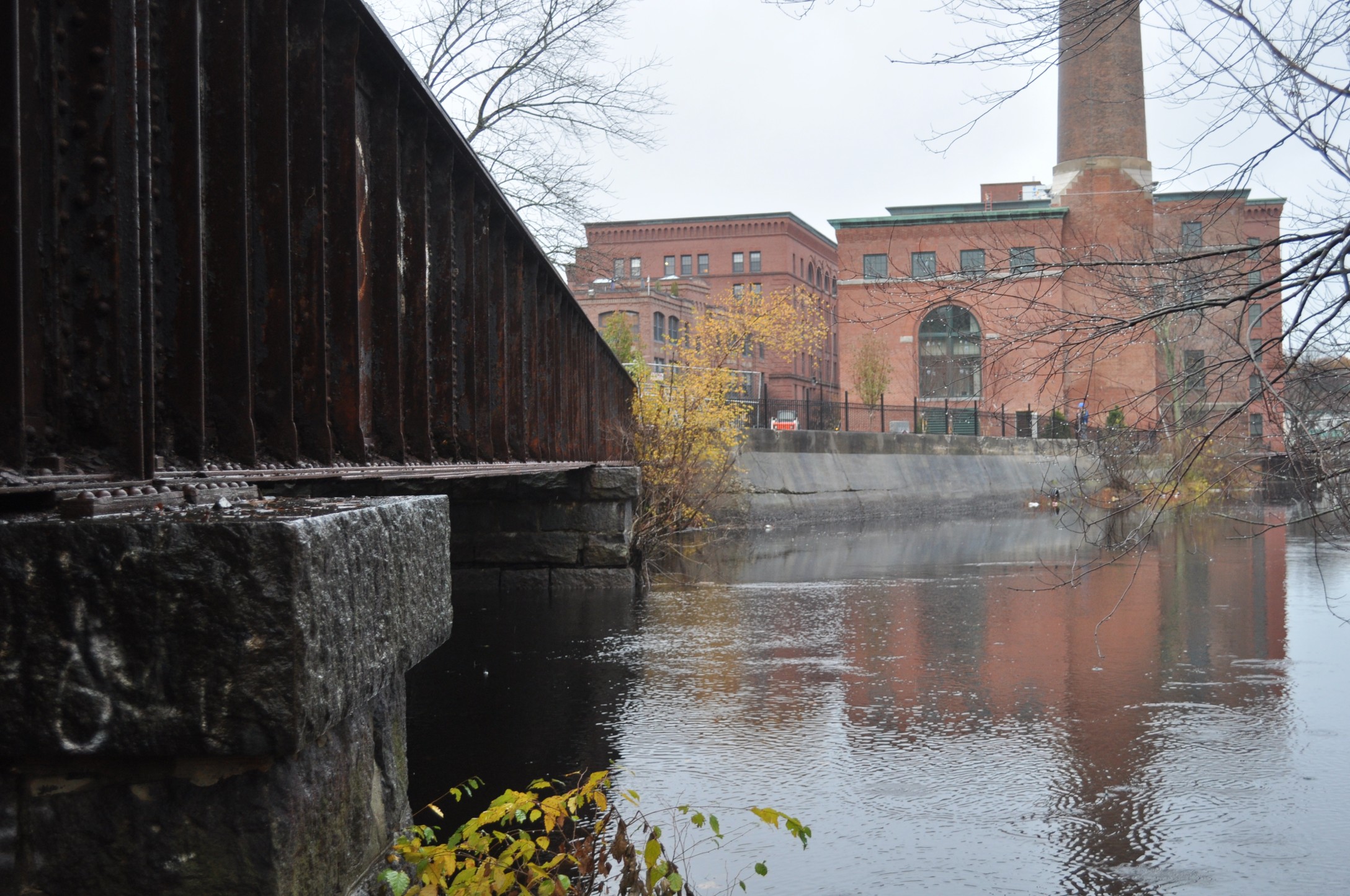 Neponset rates a ‘B-plus’ in water quality, per report - Dorchester ...